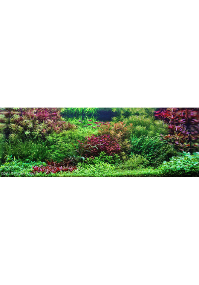 AQUA WEEK P-series P1200 PRO-APP 3.0 Control RGB+UV LED világítás akár ...